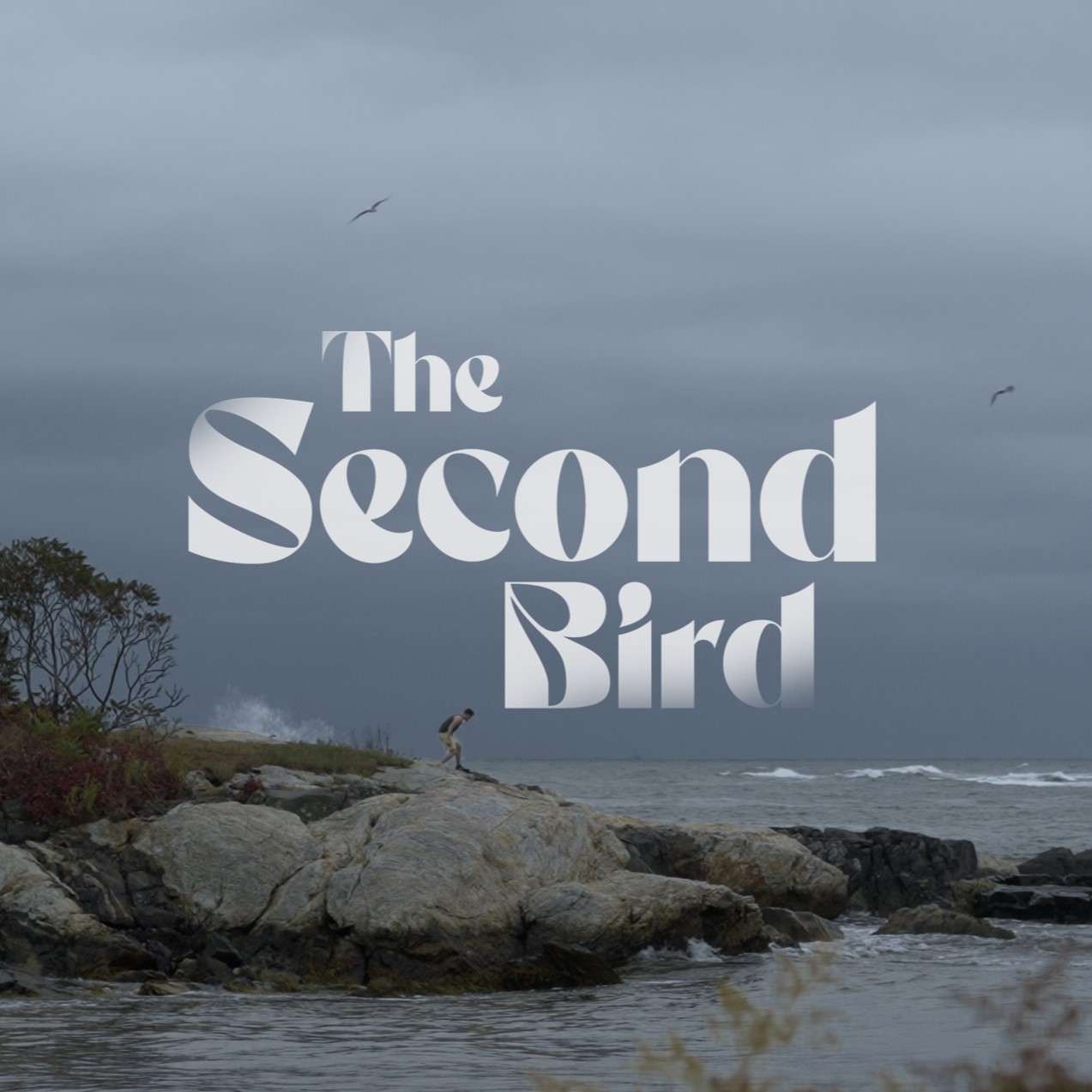 The Second Bird